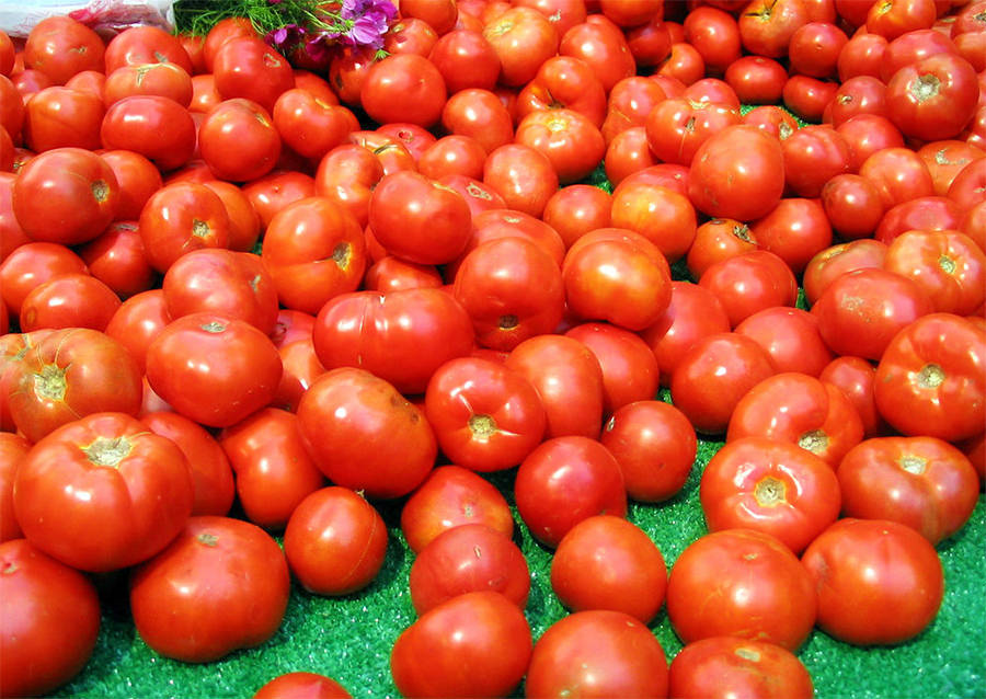 Sfaturi bune pentru roşii fabuloase | Paradis Verde