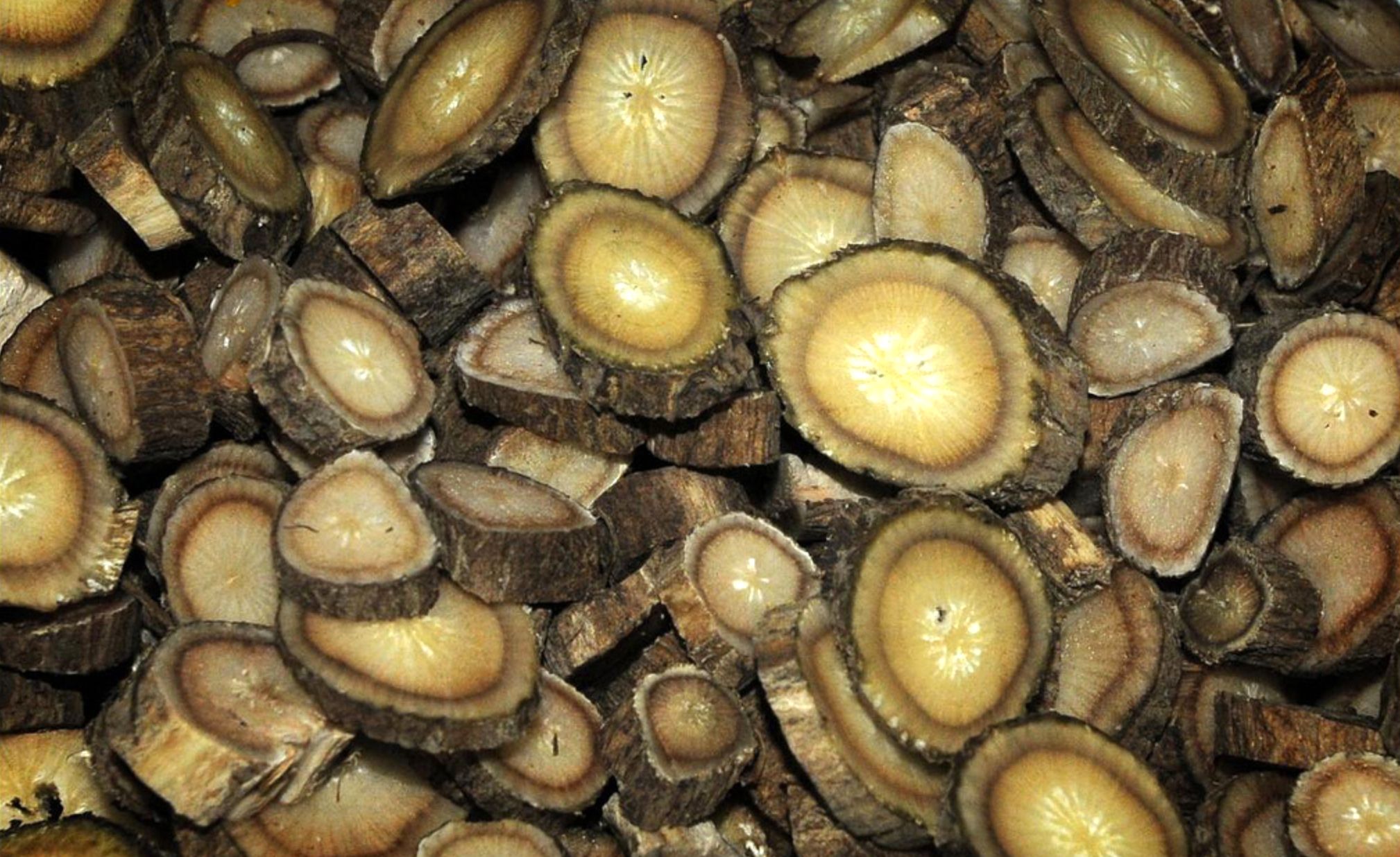 Pentru ce afecțiuni vă puteți baza pe brusture | Paradis Verde