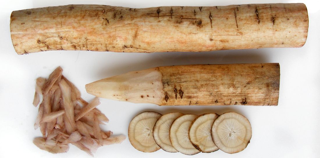 Pentru ce afecțiuni vă puteți baza pe brusture | Paradis Verde