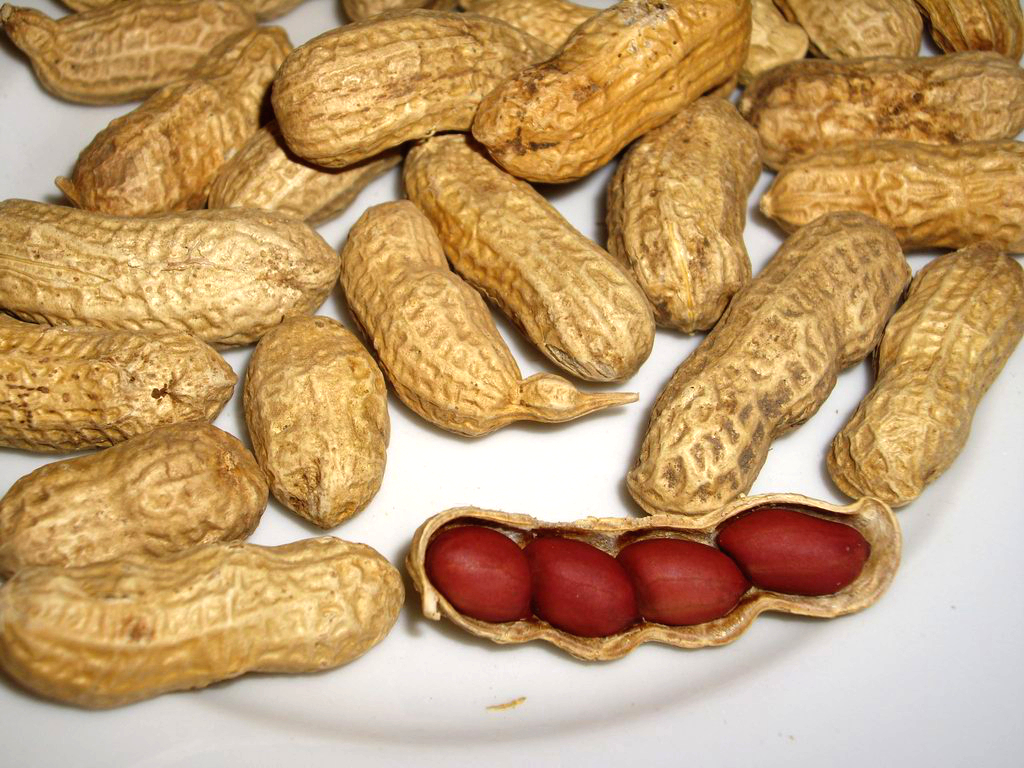 Arahidele - întăresc bila, dar scad apetitul sexual | Paradis Verde