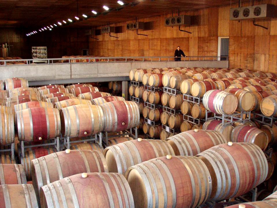 Cramele Halewood | Paradis Verde