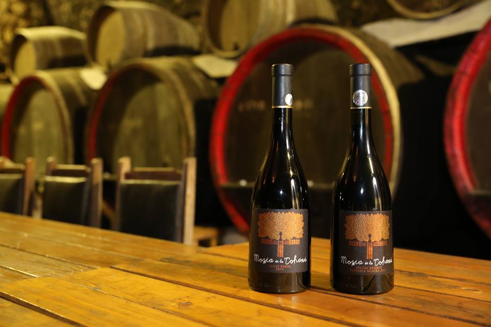 Domeniile Tohani | Paradis Verde