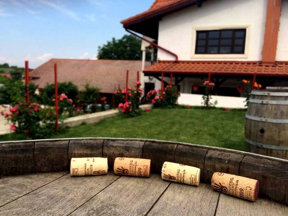 Crama Rotenberg | Paradis Verde