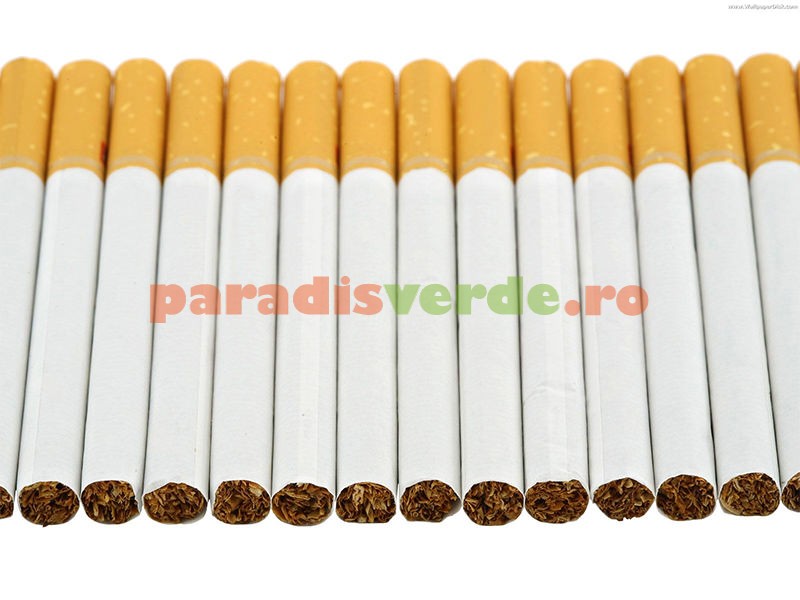 Insecticide bio | Paradis Verde