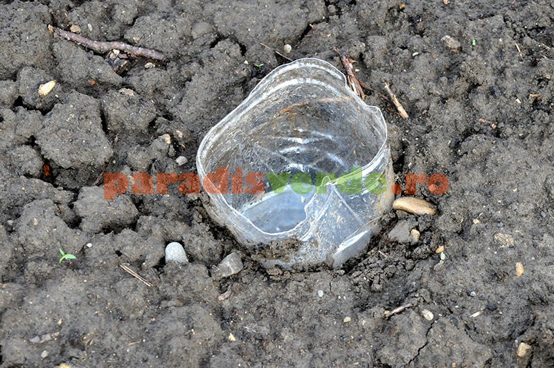 Capcană eco pentru coropişniţe | Paradis Verde