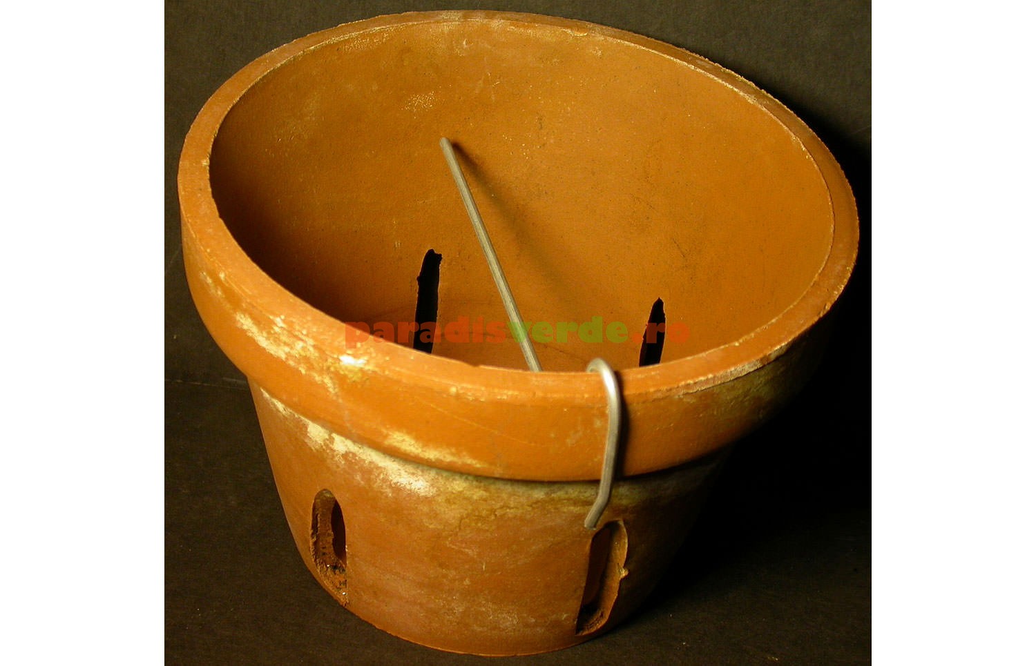 Ce pământ şi ce ghivece le plac orhideelor? | Paradis Verde