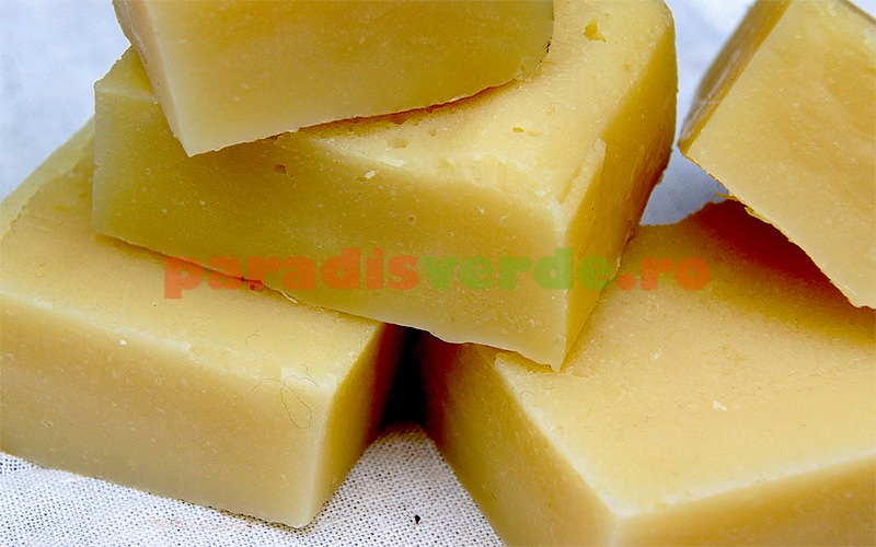 Ştiaţi că săpunul este un excelent insecticid? | Paradis Verde