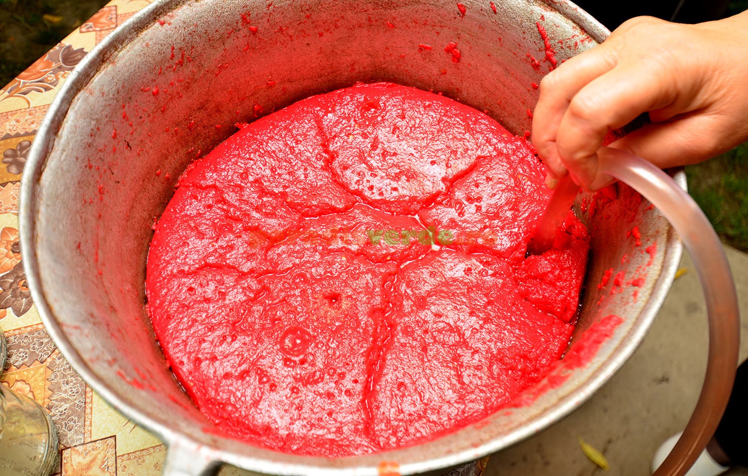 Reţetă de bulion cu doar 30 minute de fierbere | Paradis Verde