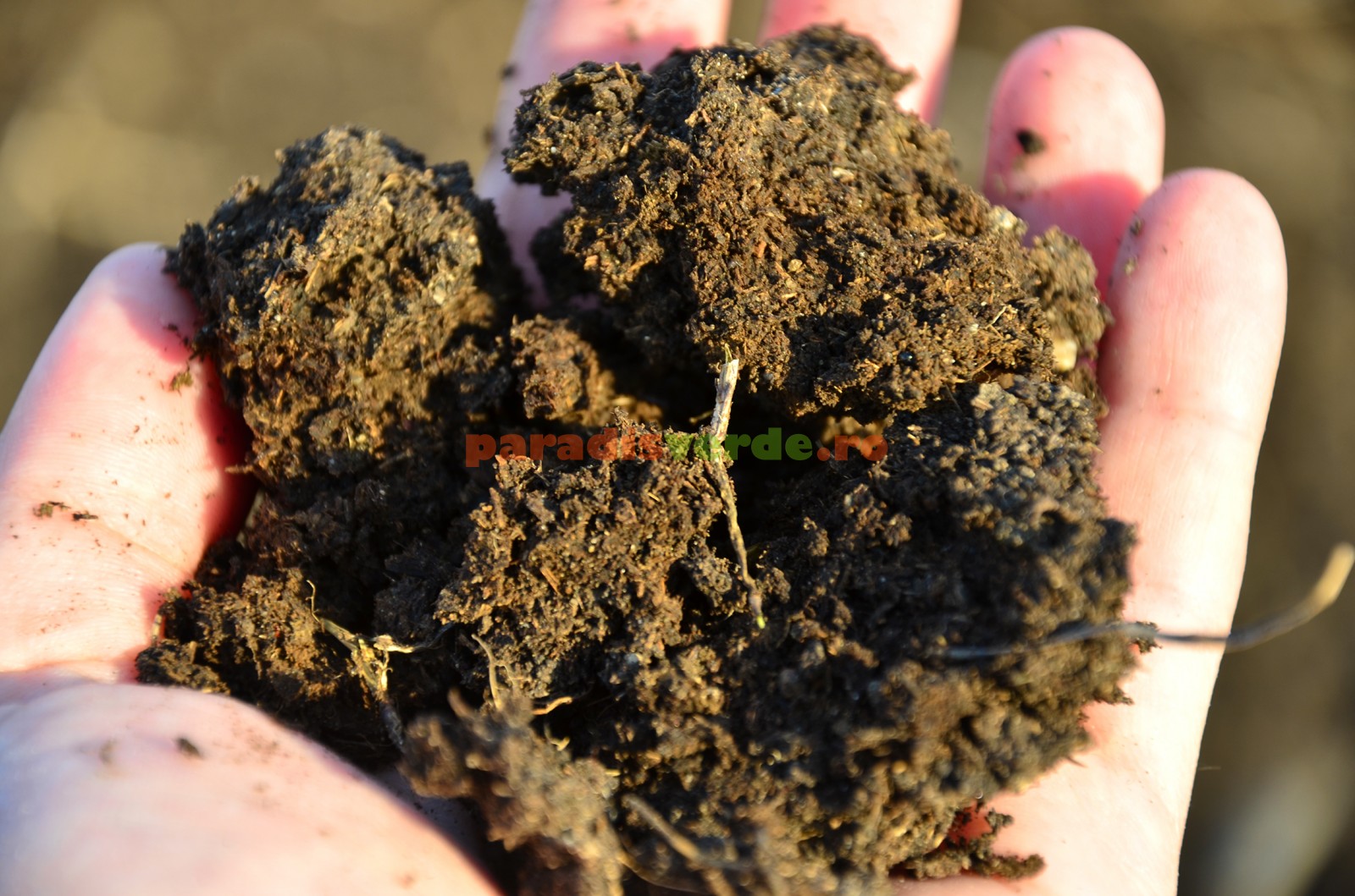 gunoi de grajd | Paradis Verde