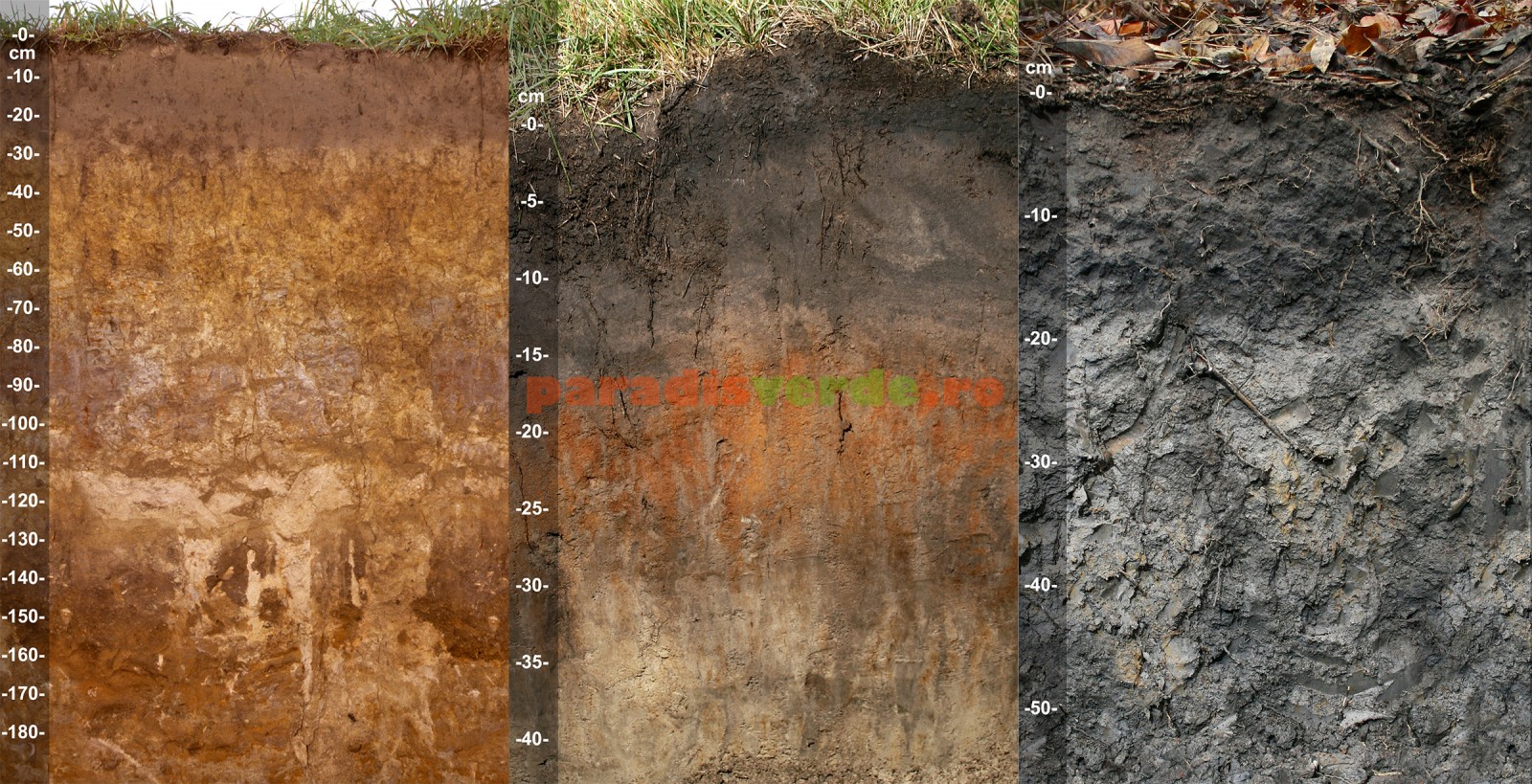 Cum apreciem fertilitatea unui sol după culoarea sa | Paradis Verde