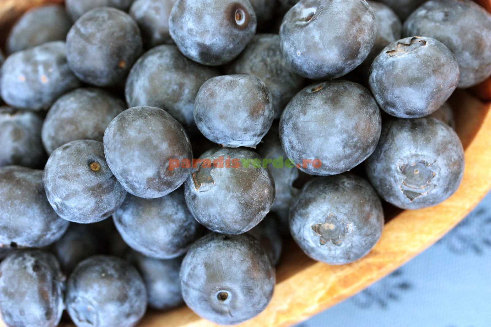 Afinul, aliment și medicament | Paradis Verde