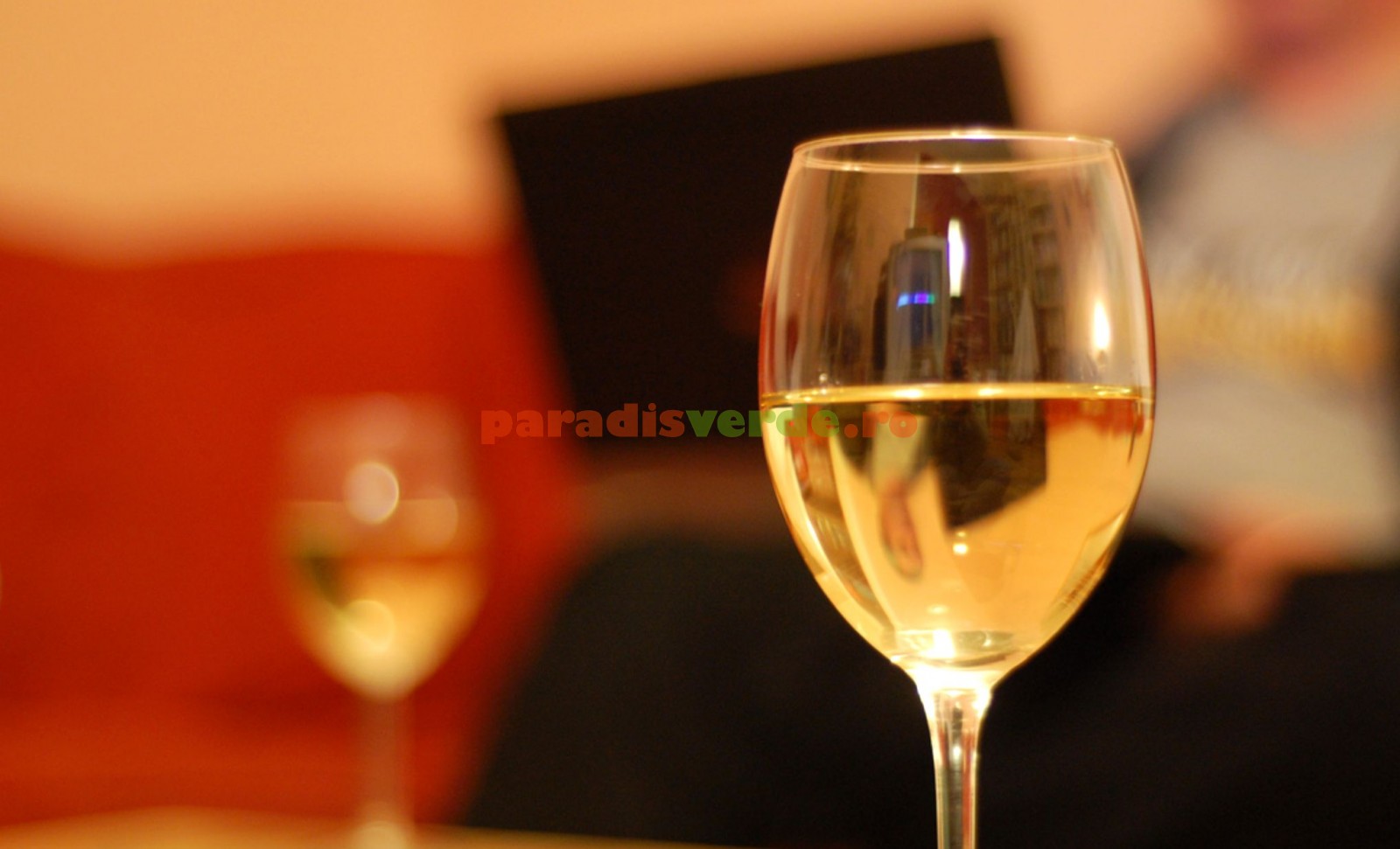 3 lămuriri esențiale pentru savurarea unui vin bun | Paradis Verde