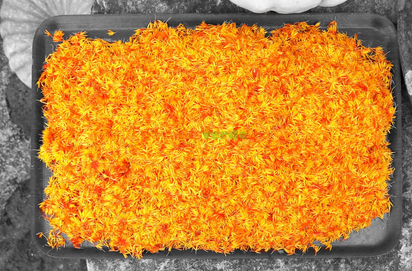 De ce merită cultivat șofrănelul | Paradis Verde