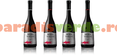 Domeniile Tohani | Paradis Verde