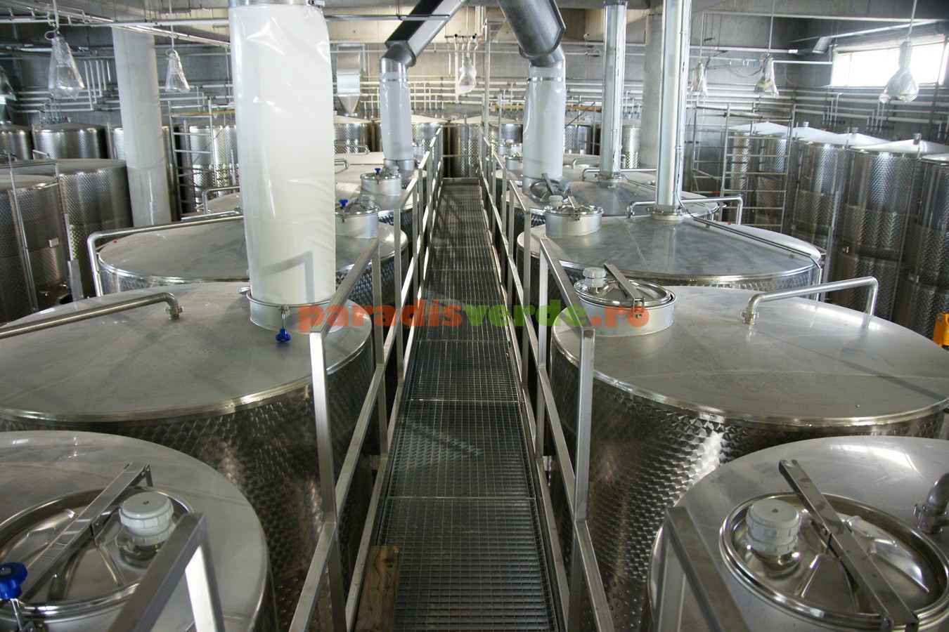 Crama Lacerta | Paradis Verde