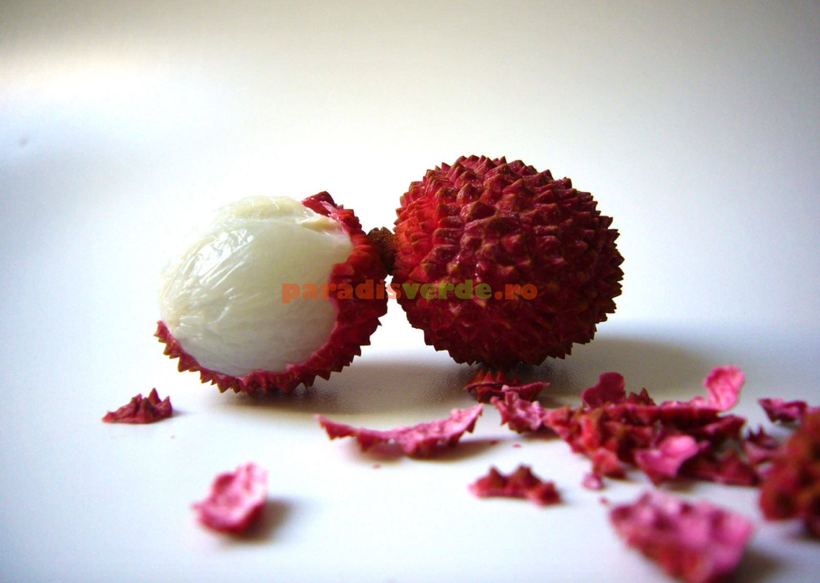 litchi | Paradis Verde