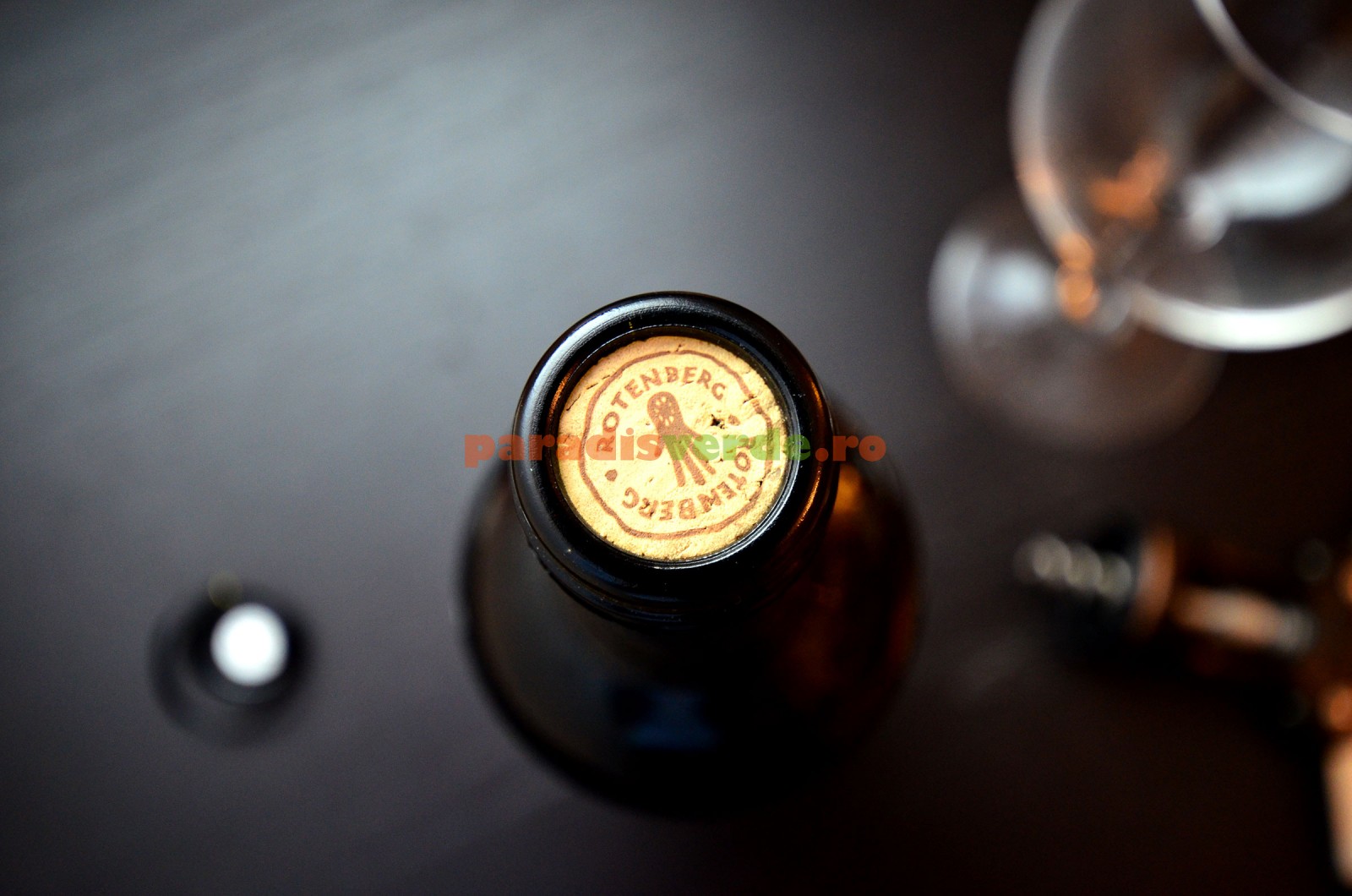 Rapsod Ceptura - Merlot 2012 / Rotenberg | Paradis Verde